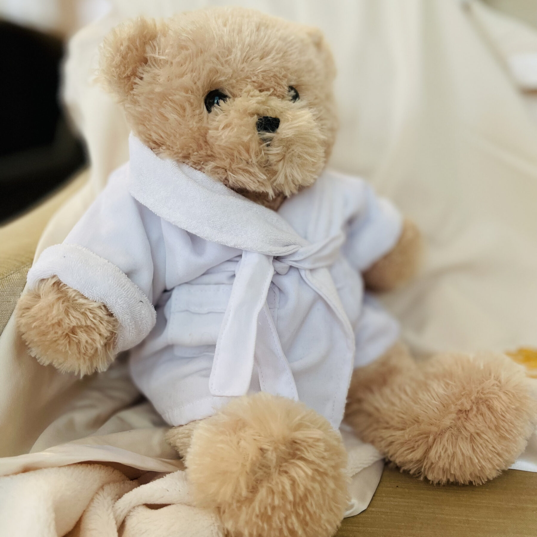 Teddy Bear with Robe | Christian Shane International