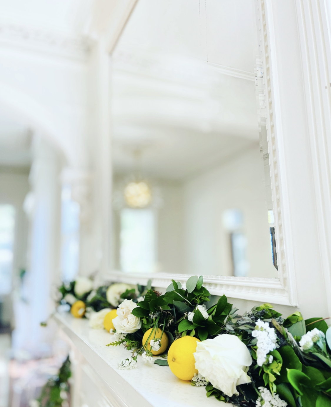 Solari Orleans - ChristianShane